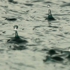 Was passiert mit unserem Wasser? Eine Präsentation gestalten (Variante ...