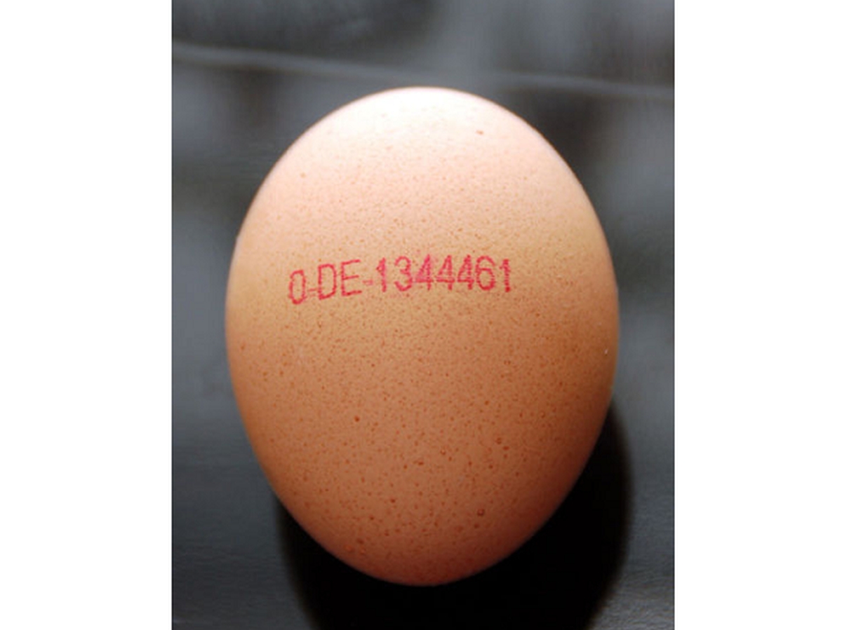 Was bedeuten Ziffern- und Buchstabencode auf dem Ei?